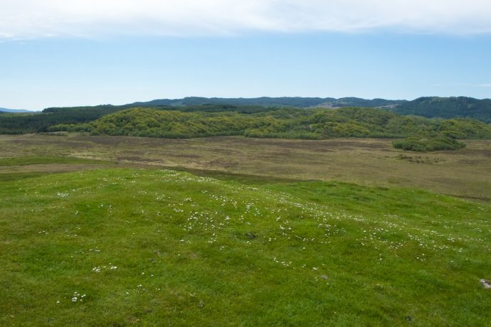 Dunadd: behold the king! – The Hazel Tree