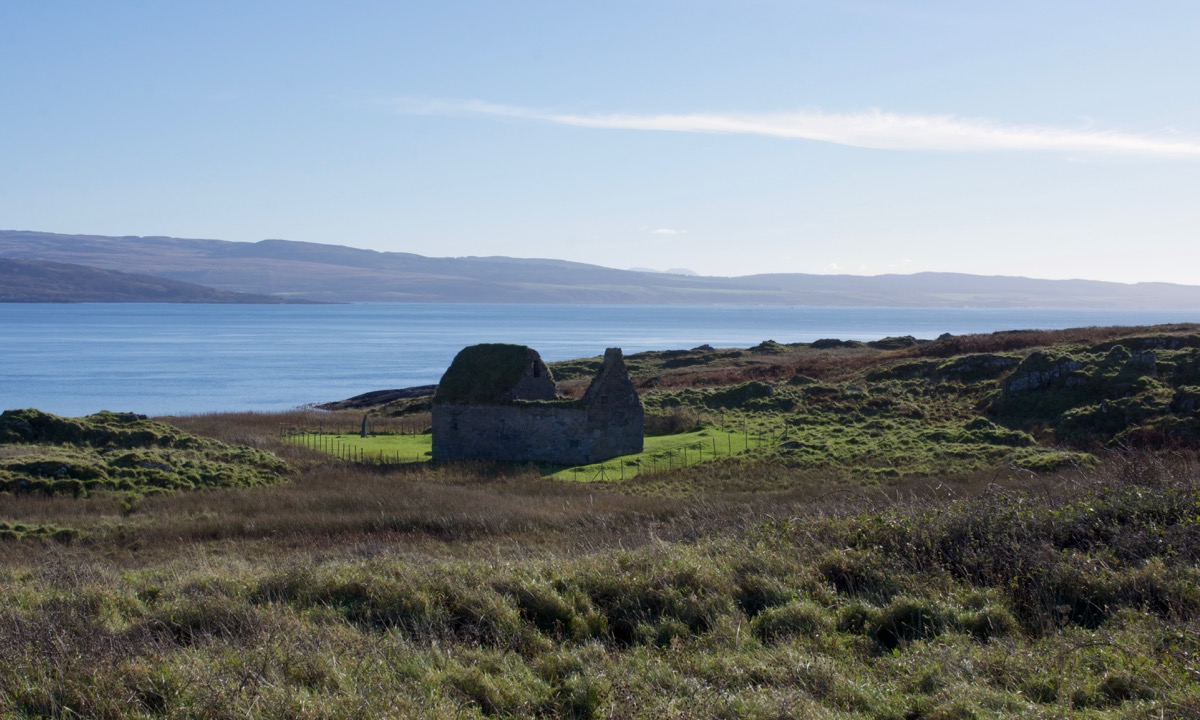 The secrets of St Cormac – The Hazel Tree